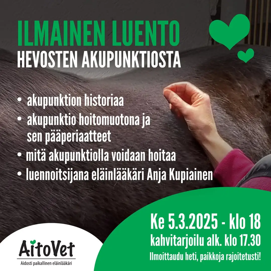 Ilmainen luento - Hevosten akupunktiosta - AitoVet